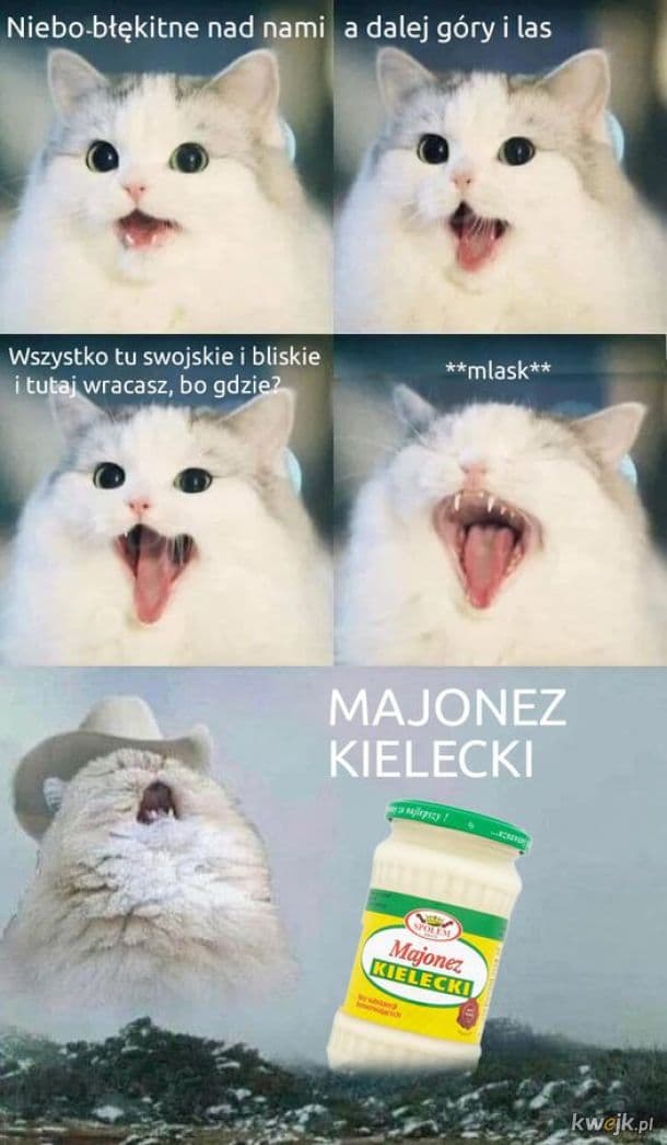 Kielce w memach! Z czym kojarzy się nasze miasto?