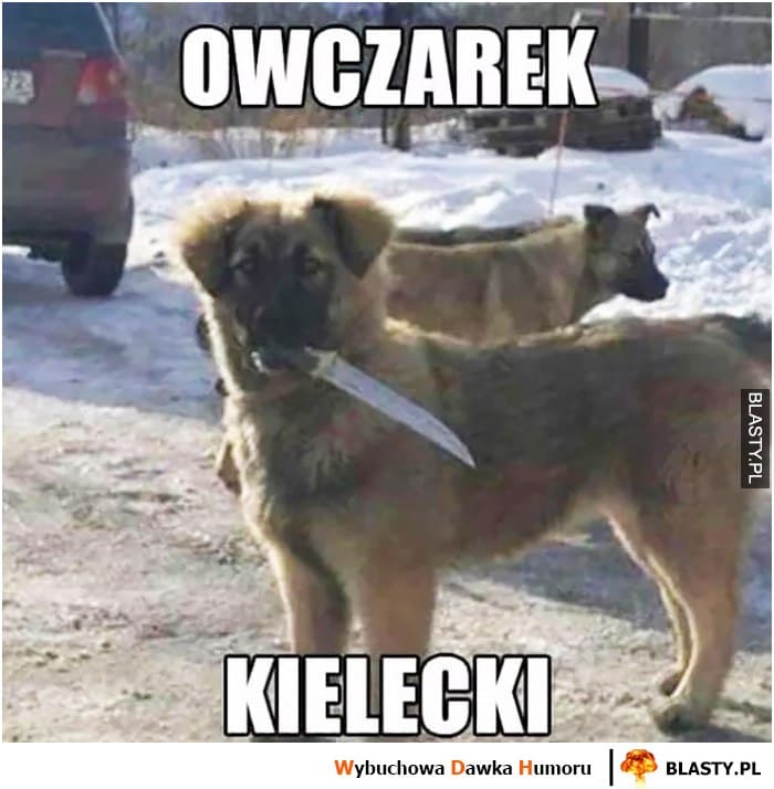 Kielce w memach! Z czym kojarzy się nasze miasto?